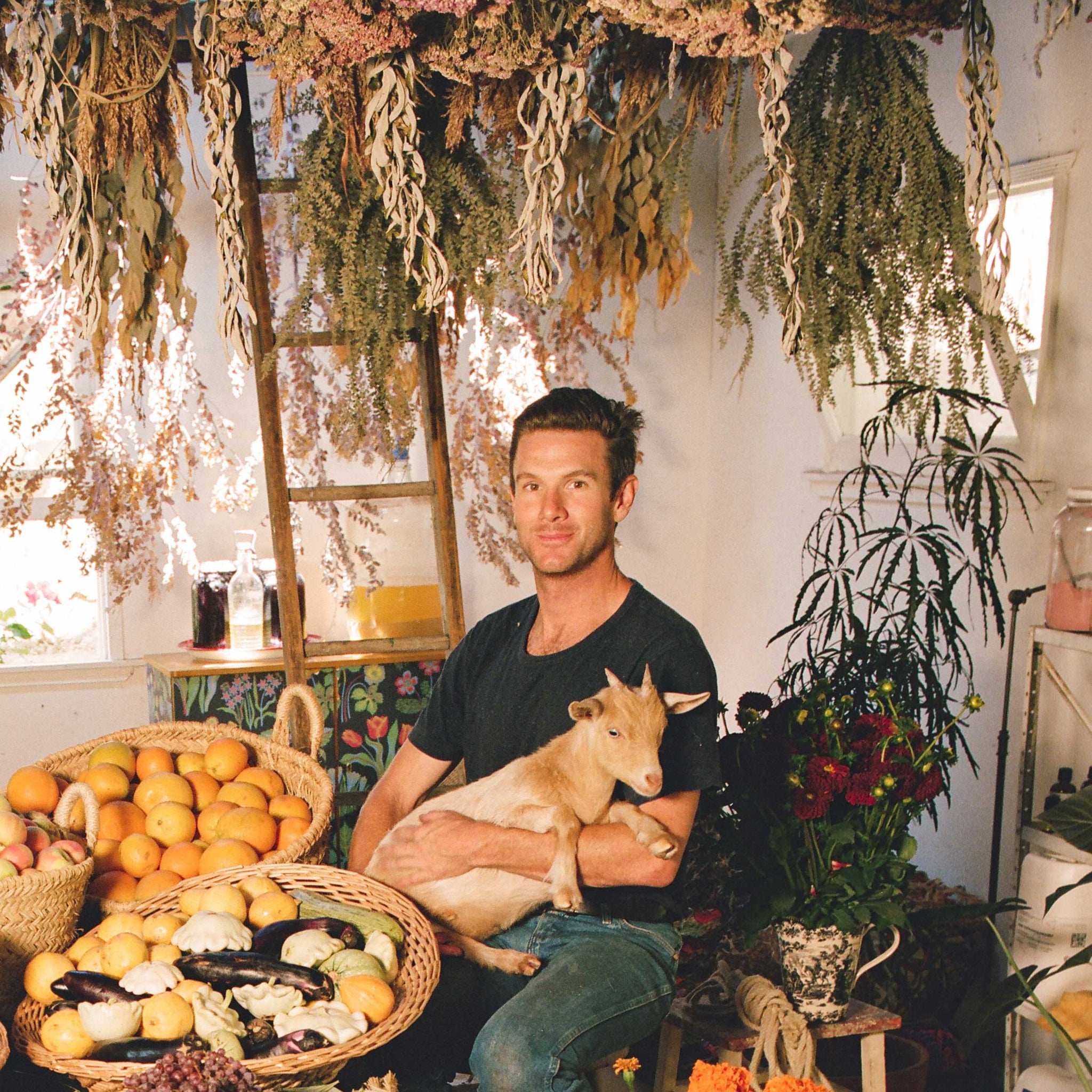 Notes from the Field - The Goat Shed – Flamingo Estate
