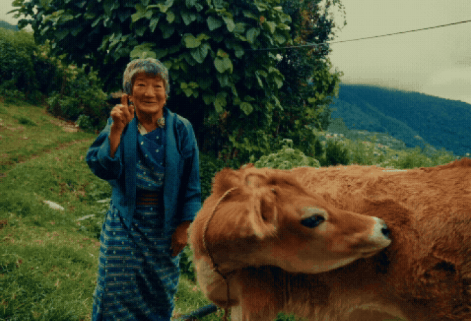 Seasonal Subscription Box – Flamingo Estate