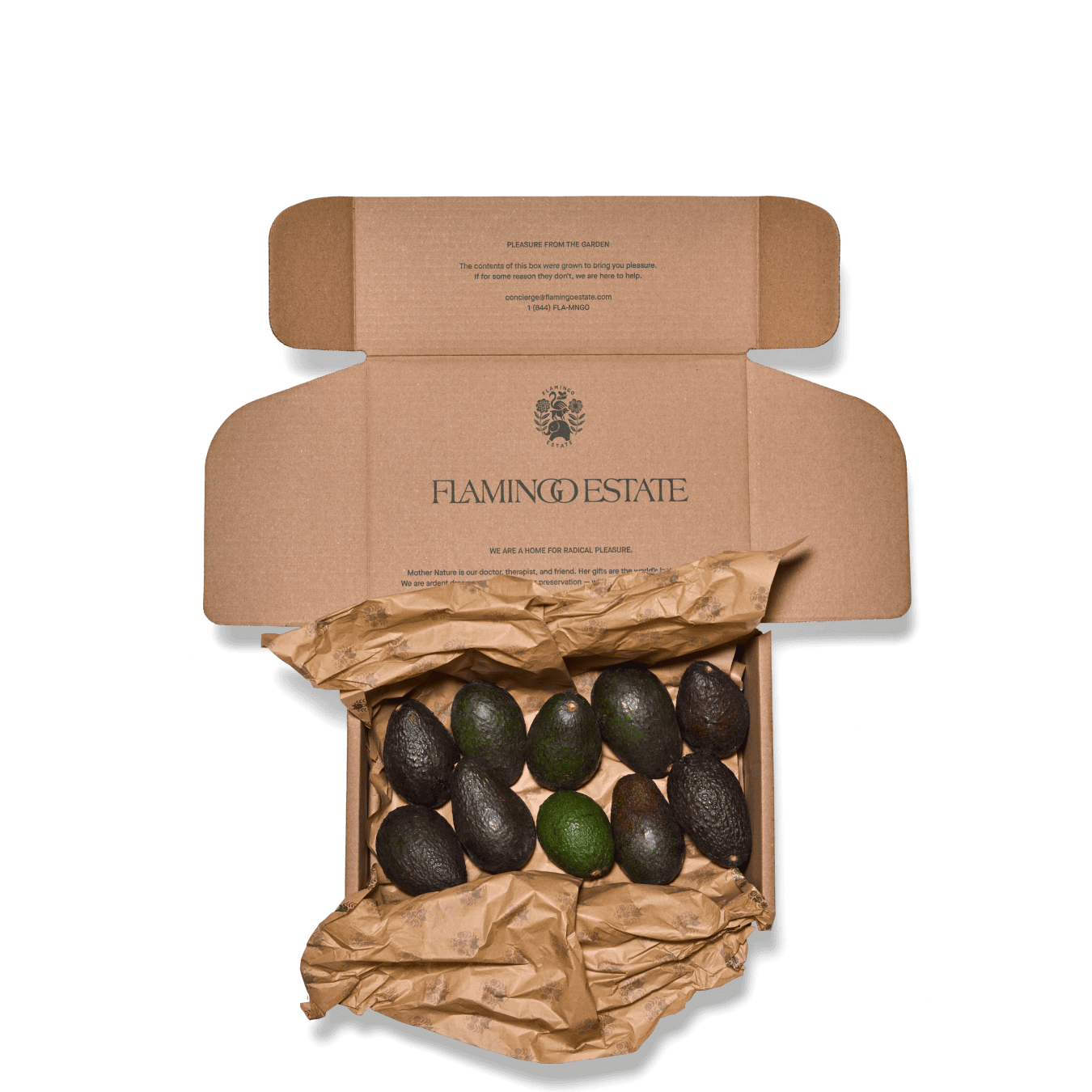 Organic Avocado Box – Flamingo Estate