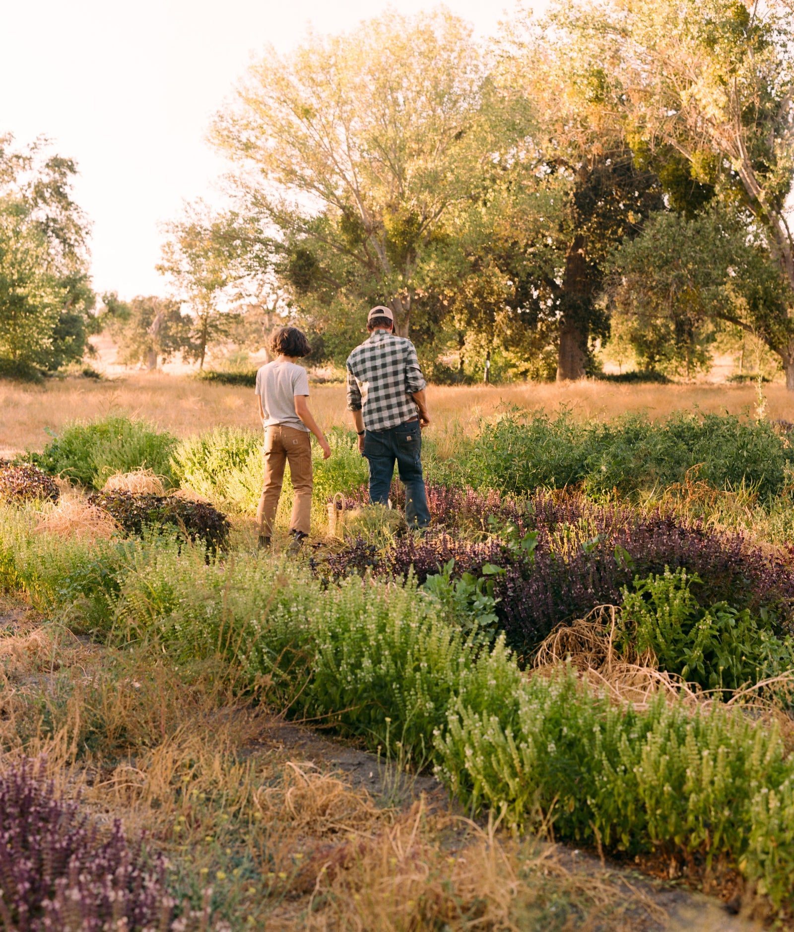 Fresh Goods – Flamingo Estate